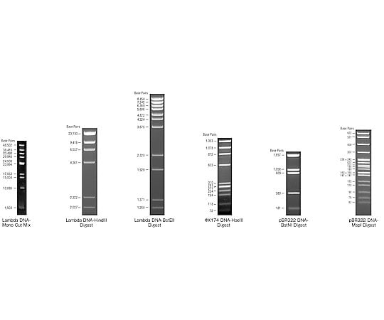 2-4247-01 Lambda DNA-Mono Cut Mix N3019S 【AXEL】 アズワン