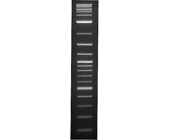 2-4298-05 1 kb Plus DNA Ladder N3200S 【AXEL】 アズワン