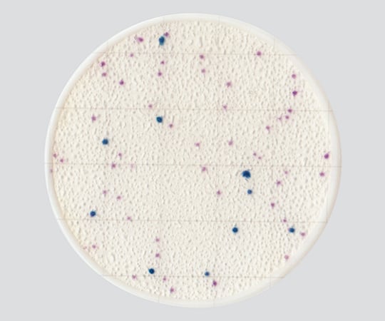 [Discontinued]Film Medium (Medi･Ca) For Counting Escherichia Coli ...