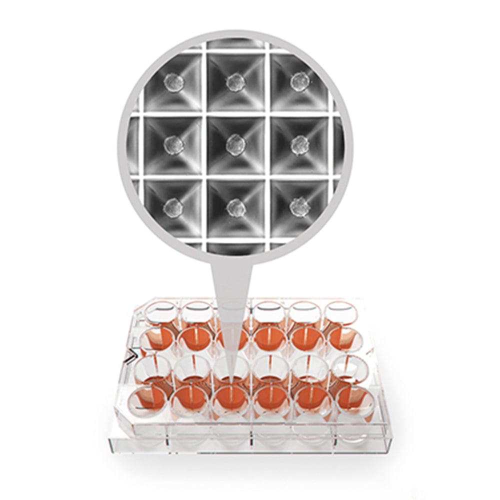 4-1318-01 Spheroid production culture plate SPHERICAL PLATE 5D 【AXEL ...