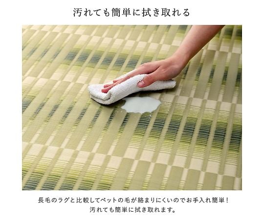 60-0536-65-81 日和 カーペット ポリプロピレンカーペット ベージュ 191×286cm 本間3畳 1090580021702 【AXEL】 アズワン