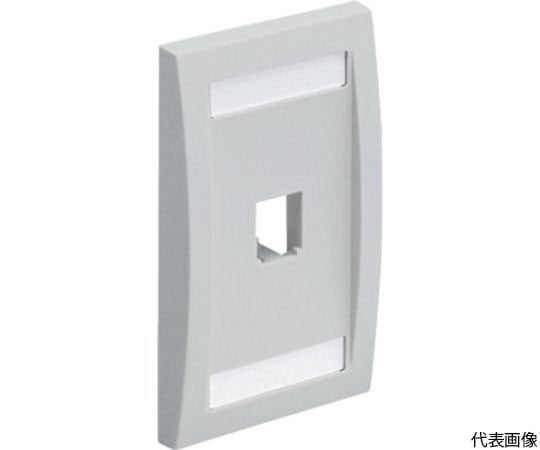 フェースプレート CFPEシリーズ パンドウイットコーポレーション 【AXEL】 アズワン