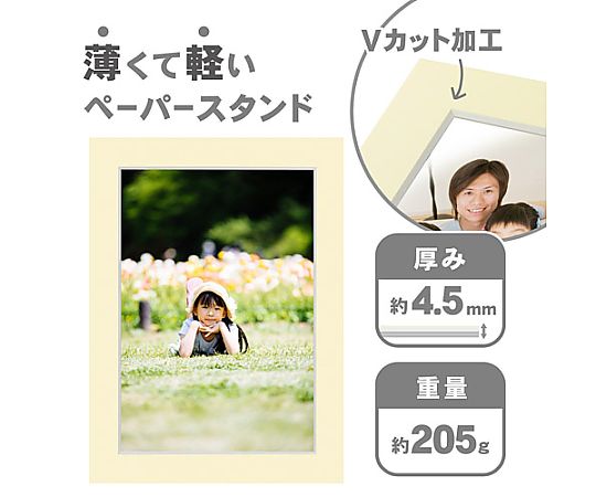 64-3959-67 Color Paper Stand A4 Cream MCPS-A4CR 【AXEL GLOBAL】ASONE