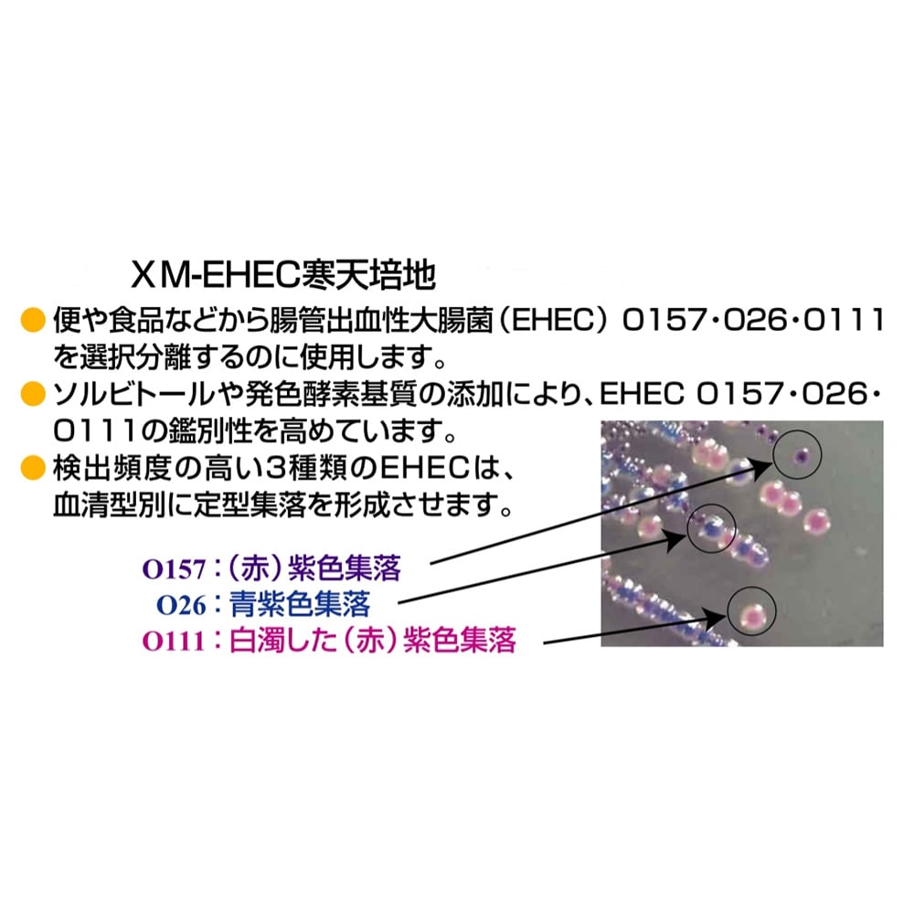 65-9404-80 アキュレート™XM－EHEC寒天培地 10枚 51057 【AXEL】 アズワン