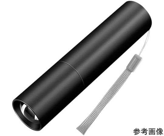 充電式LED懐中電灯 ストラップ付 TR-FL002シリーズ トライメイト 【AXEL】 アズワン