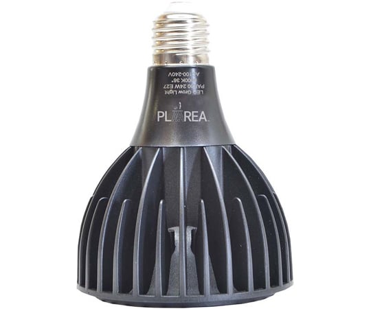 Ever Sun 365 ゼンスイ 【AXEL】 アズワン