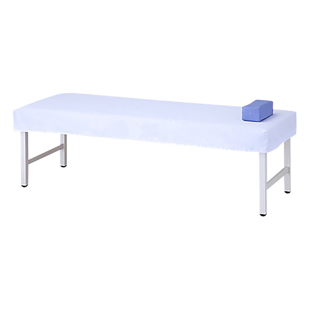 8-3371-07 Clinical Table 3-Piece Set (Examination table, pillow and ...