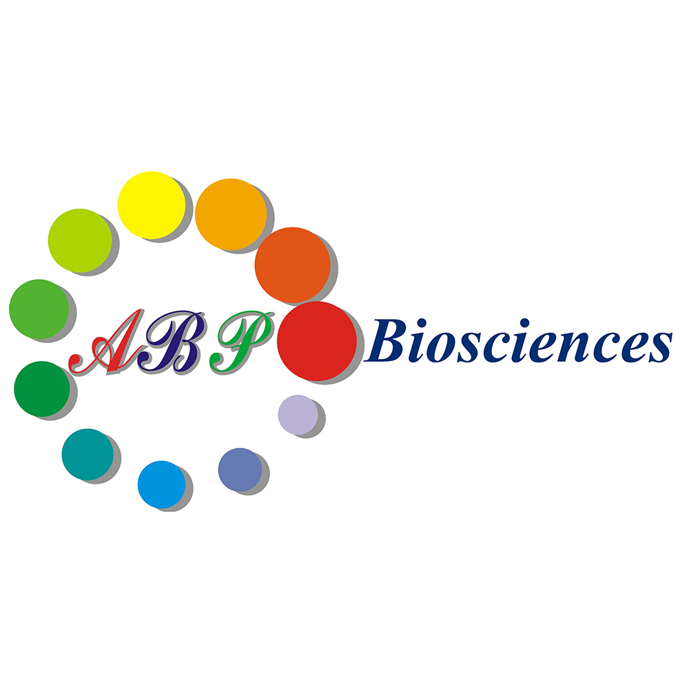 ROX Reference Dye（25 uM） D011シリーズ ABP Biosciences 【AXEL】 アズワン