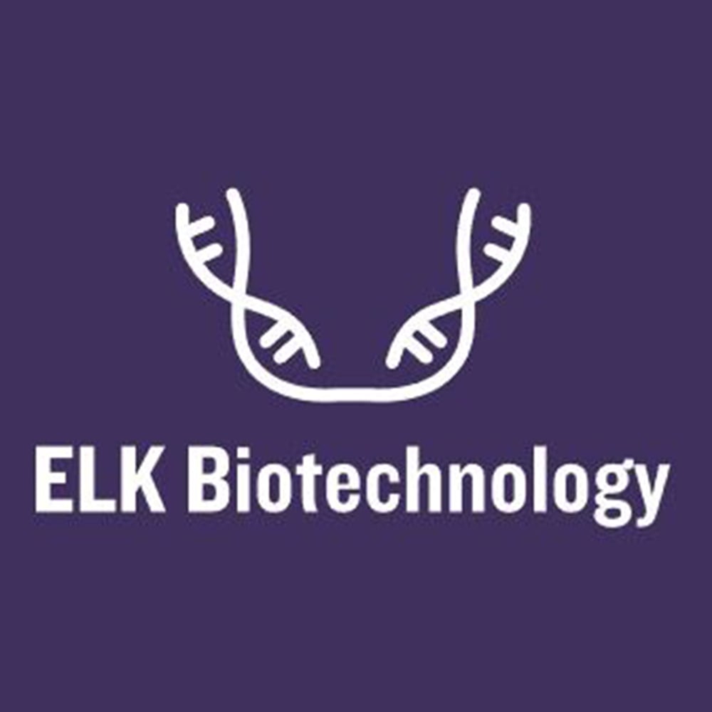 86-7832-45 Rat MPO(Myeloperoxidase) ELISA Kit 96T ELK1661 【AXEL】 アズワン