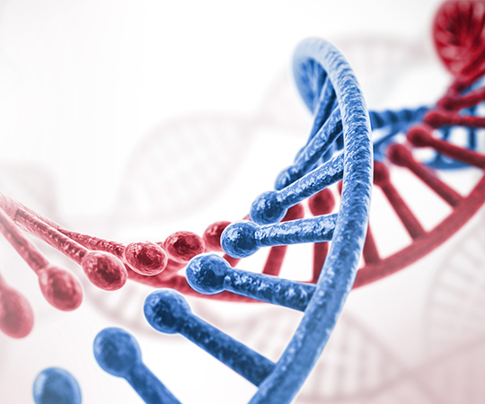 TRYPSEQ-RO Trypsin Sequencing Grade, from bovine pancreas シグマアルドリッチジャパン ...